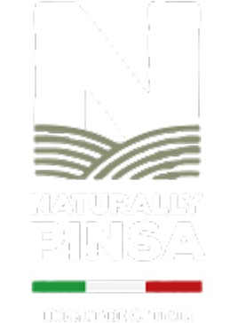 Home - Naturally Pinsa